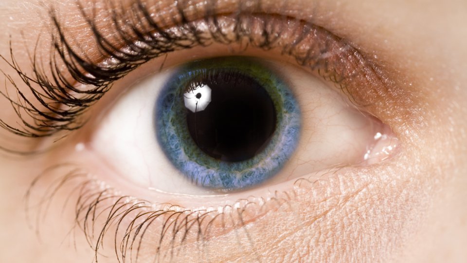 What Our Pupils Reveal Exploring Your Mind