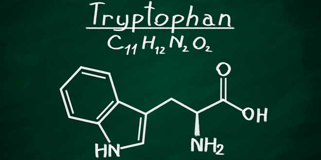 Tryptophan: The "Feel Good" Amino Acid - Exploring your mind