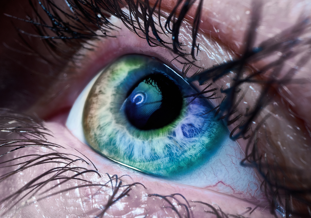 Aesthetic Intelligence: The Ability to Sense Beauty