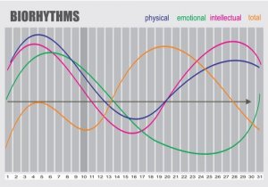 Biorhythm Theory - Exploring your mind