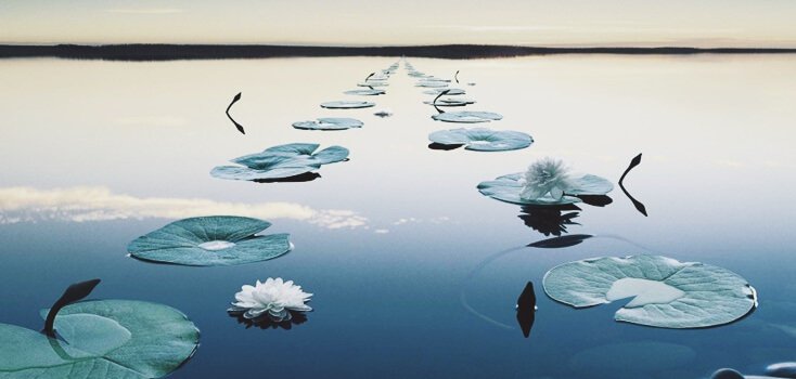 The Hobbit: Getting Out of Your Comfort Zone - Exploring your mind