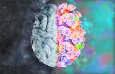 Neuroesthetics: Where Neurology and Art Meet - Exploring your mind