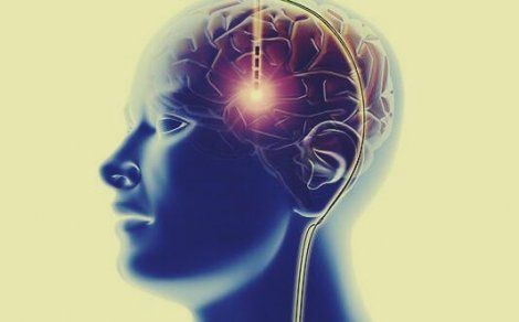 The Fascinating World of Your Brain's Reward System