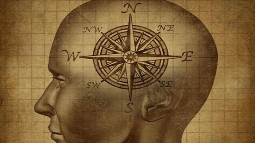 The Moral Brain: The Neuronal Basis for Ethics and Human Values