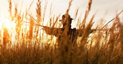 The Straw Man Proposal for Problem Solving - Exploring your mind