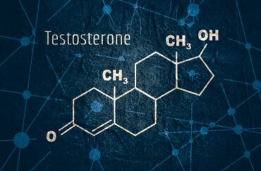 The Characteristics and Functions of Testosterone - Exploring your mind