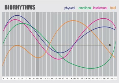 What Circadian Rhythms Are and How They Work - Exploring your mind