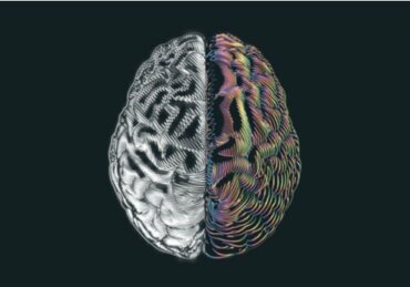 The Surprising Findings in People Who Have Only Half a Brain